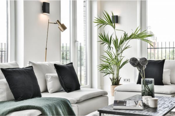 The Color of Your Furniture and What It Says About You – Barstool Comforts