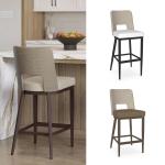 Buy Amisco's Chase Transitional Bar Stool with Back – Free Shipping!