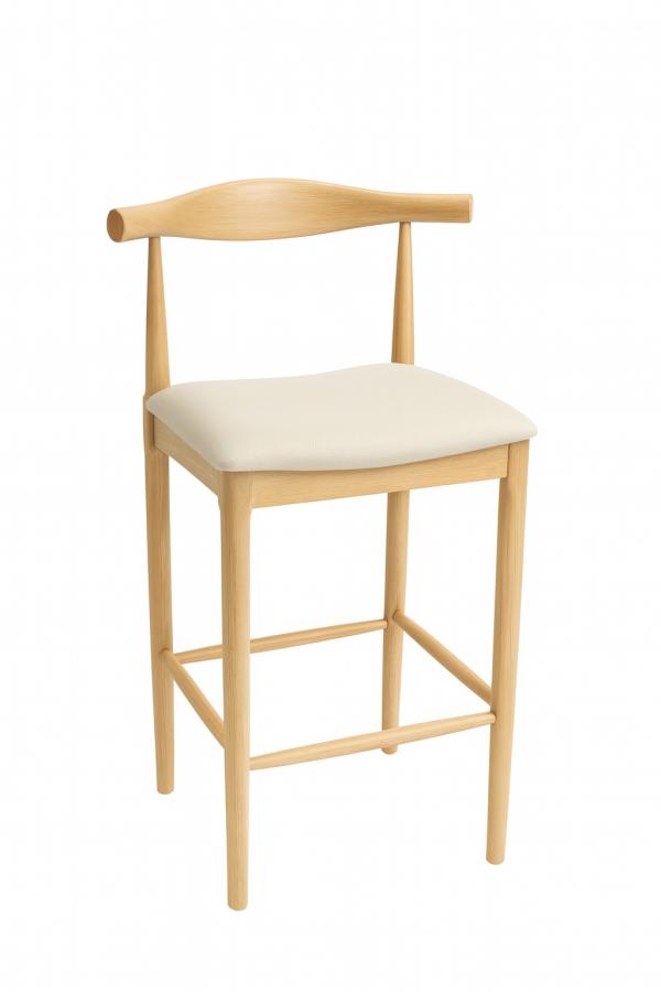 Buy Trendler's Charlotte Mid-Century Modern Bar Stool with Low Back